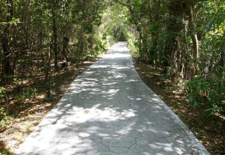 The Barnacle Historic State Park | Florida State Parks